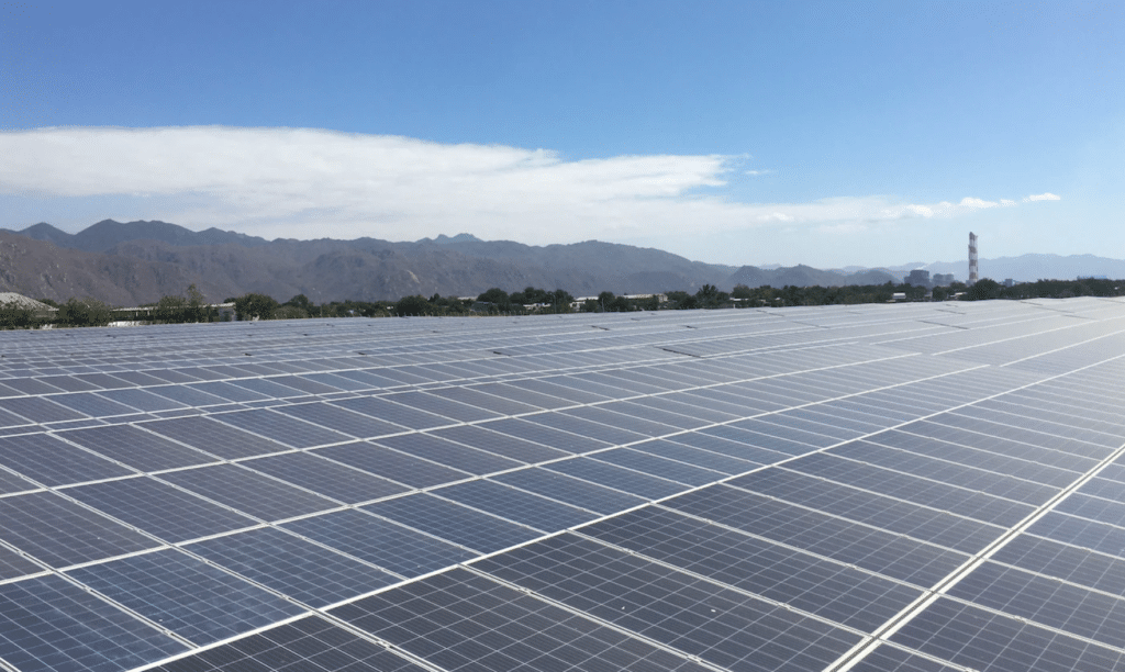 Ecologi Projects: Where Your Money Goes, Trees | Avrion