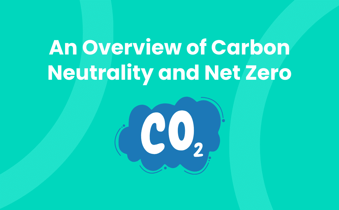 An Overview of Carbon Neutrality and Net Zero - Avrion CRM